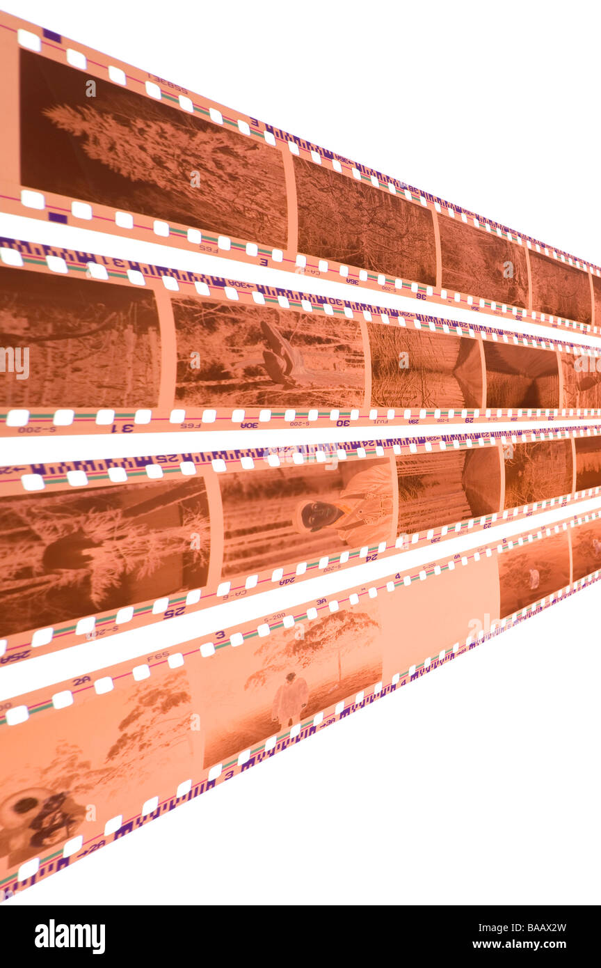 Negative film frame hi-res stock photography and images - Alamy