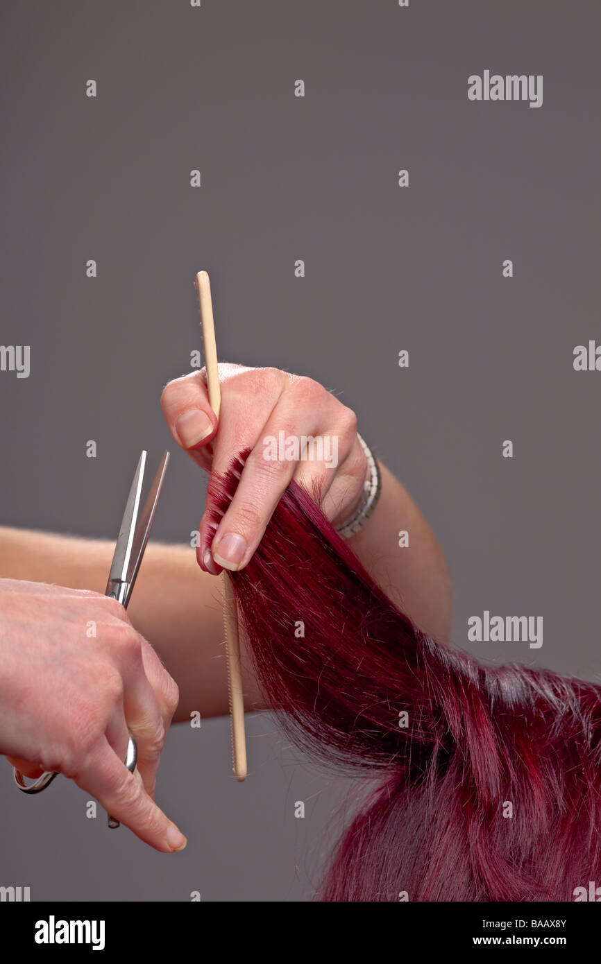 Close up hairdressers hands trimming hi-res stock photography and ...