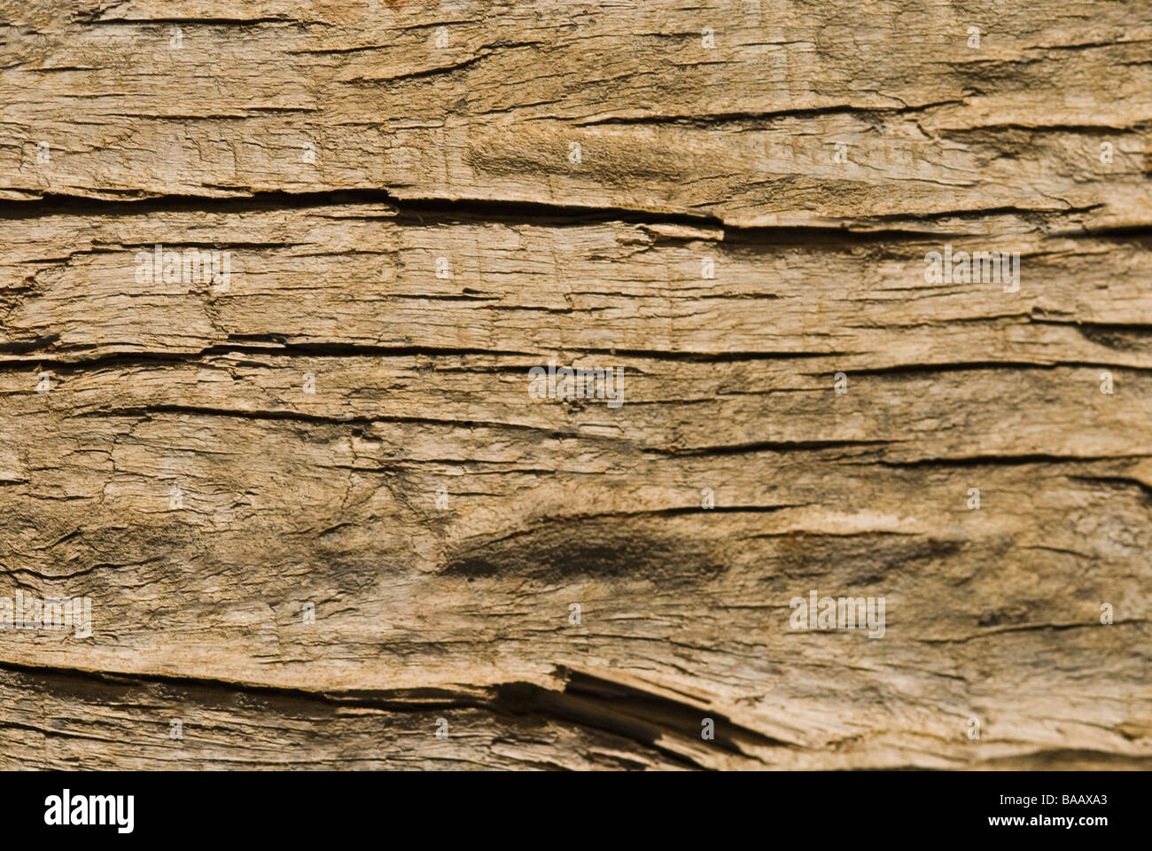 Weathered india hi-res stock photography and images - Alamy