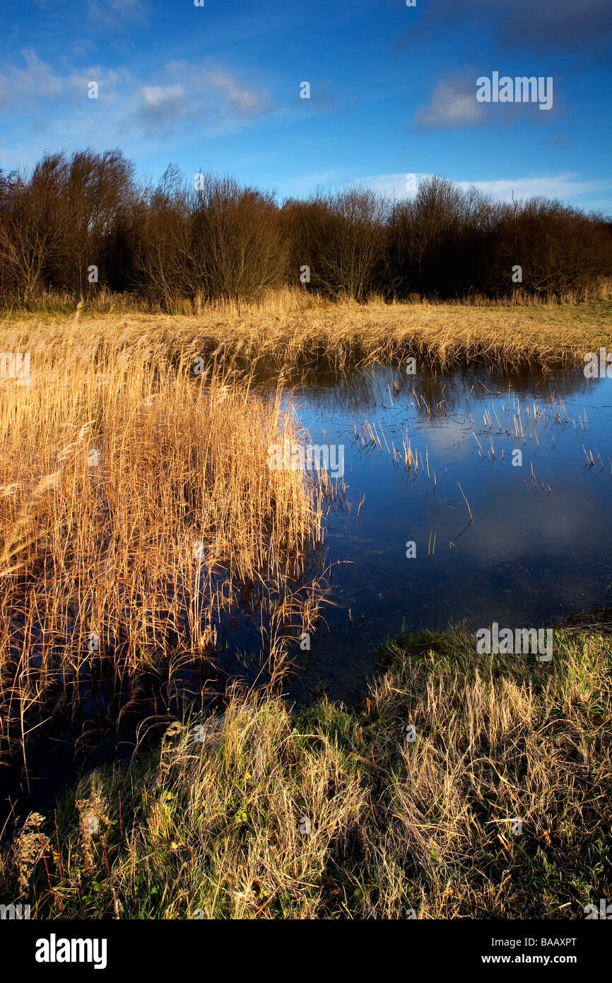 the far ings national nature reserve, owned by the lincolnshire ...