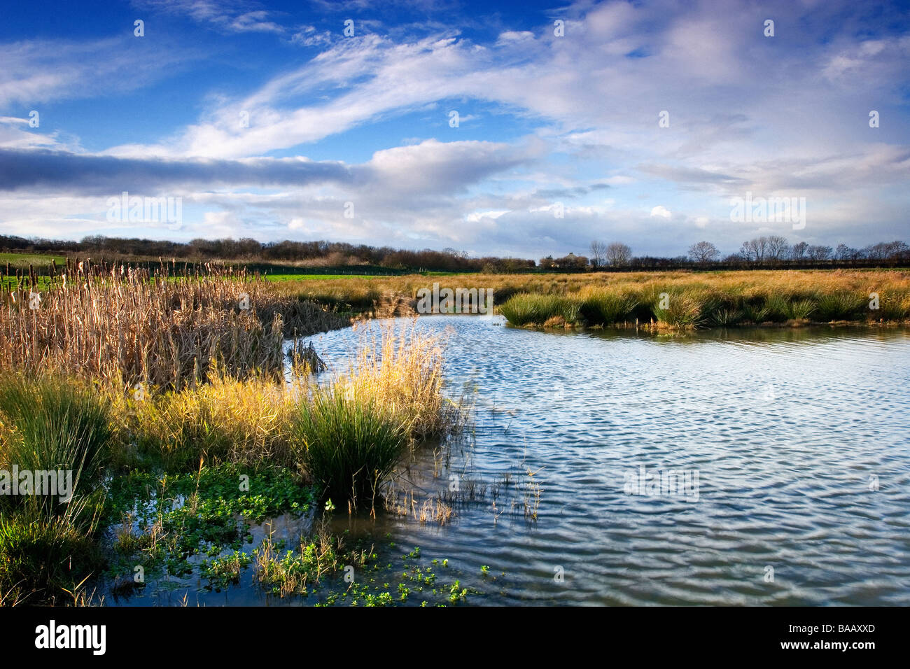 the far ings national nature reserve, owned by the lincolnshire ...