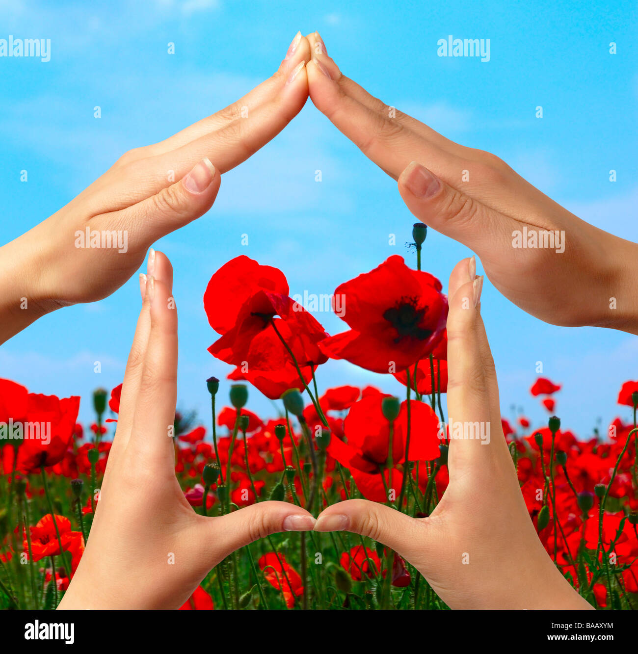 Hands making home sign Stock Photo - Alamy