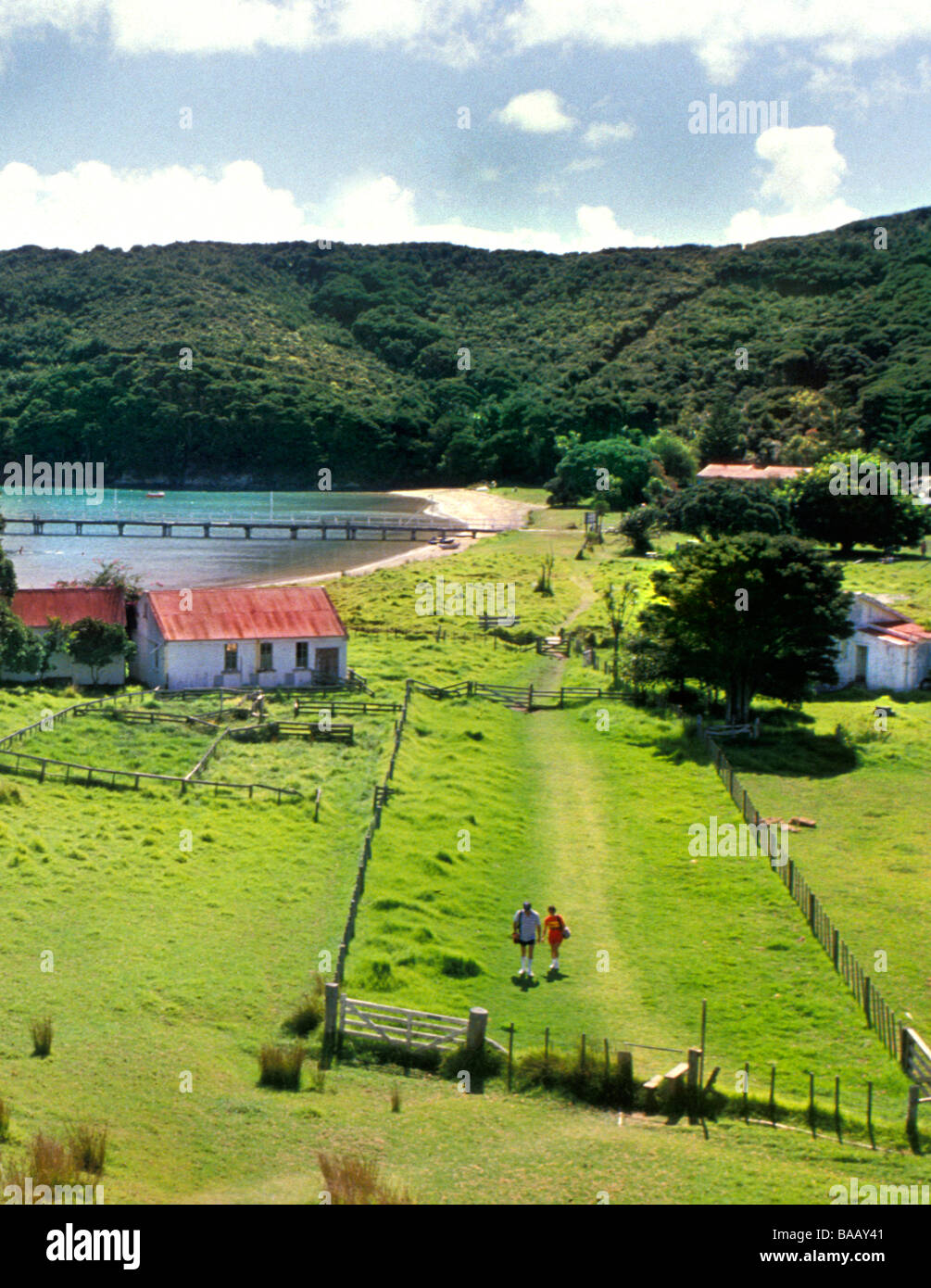 Bay Of Islands New Zealand Fishing High Resolution Stock Photography ...