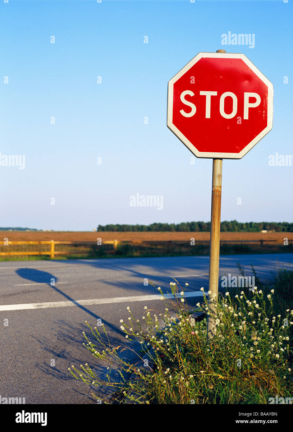 A stop sign, Sweden Stock Photo - Alamy