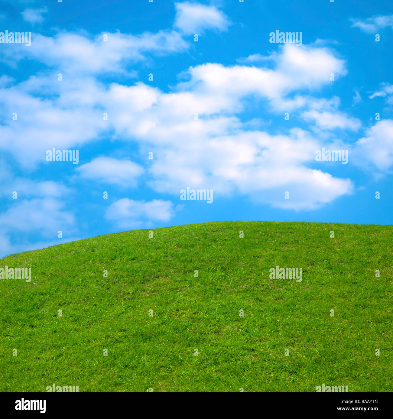 Beautiful springtime landscape Stock Photo - Alamy