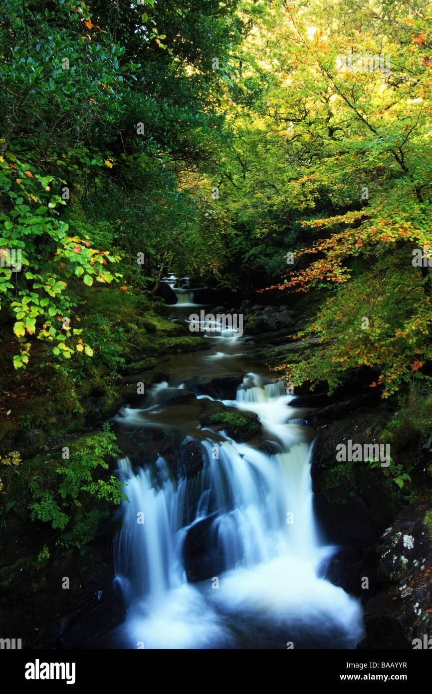 Torc Waterfall, Killarney National Park, County Kerry, Ireland Stock ...
