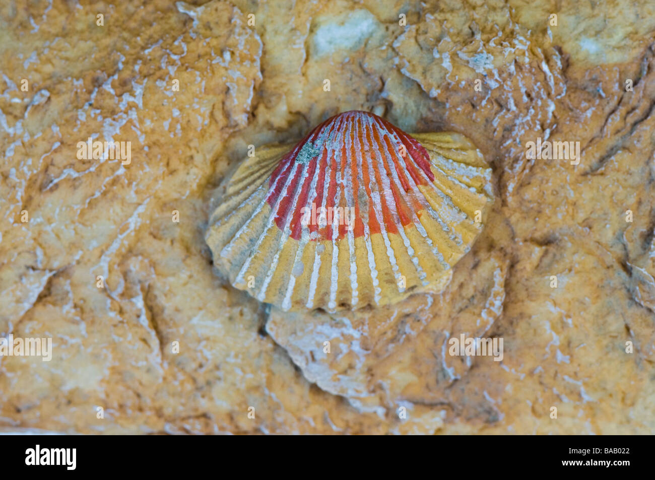 Showpiece hi-res stock photography and images - Alamy