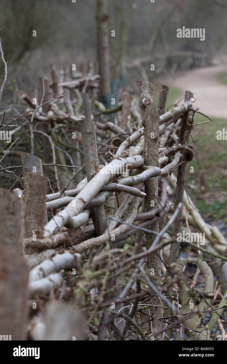 Interwoven sticks hi-res stock photography and images - Alamy