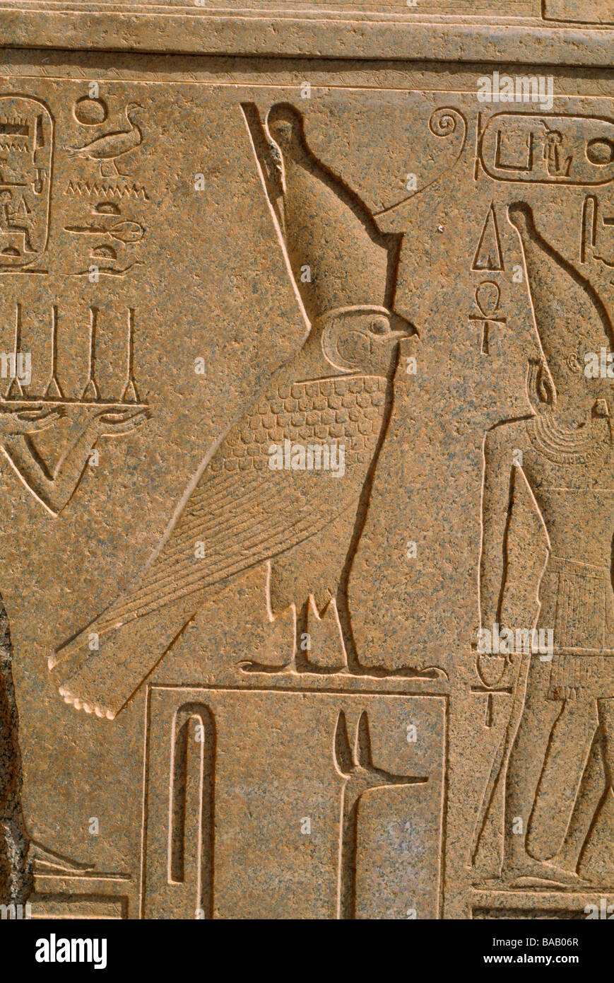 The Falcon God Horus High Resolution Stock Photography and Images - Alamy