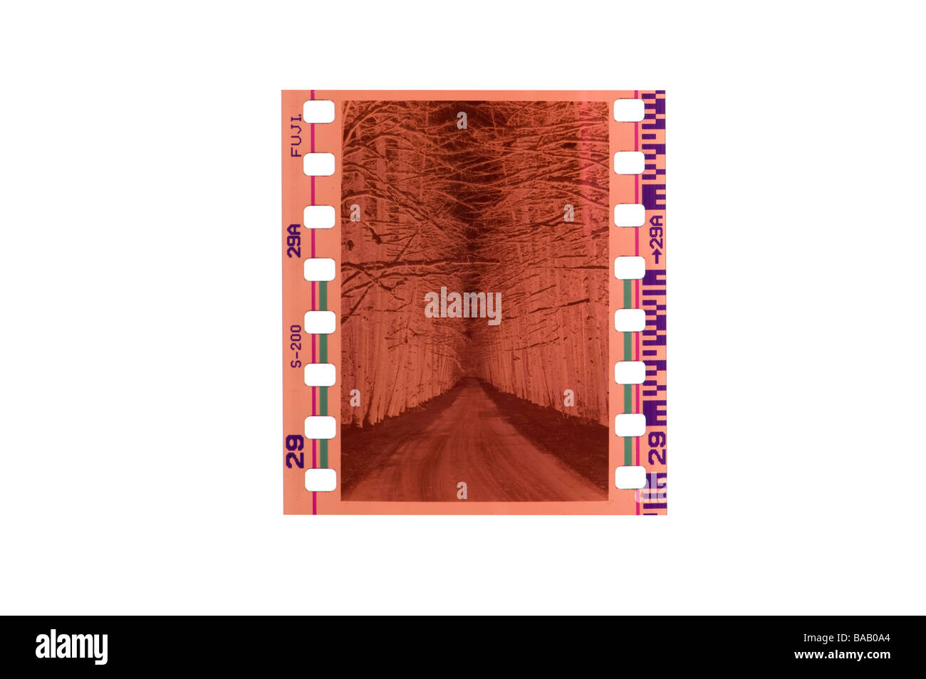 Negative film frame hi-res stock photography and images - Alamy