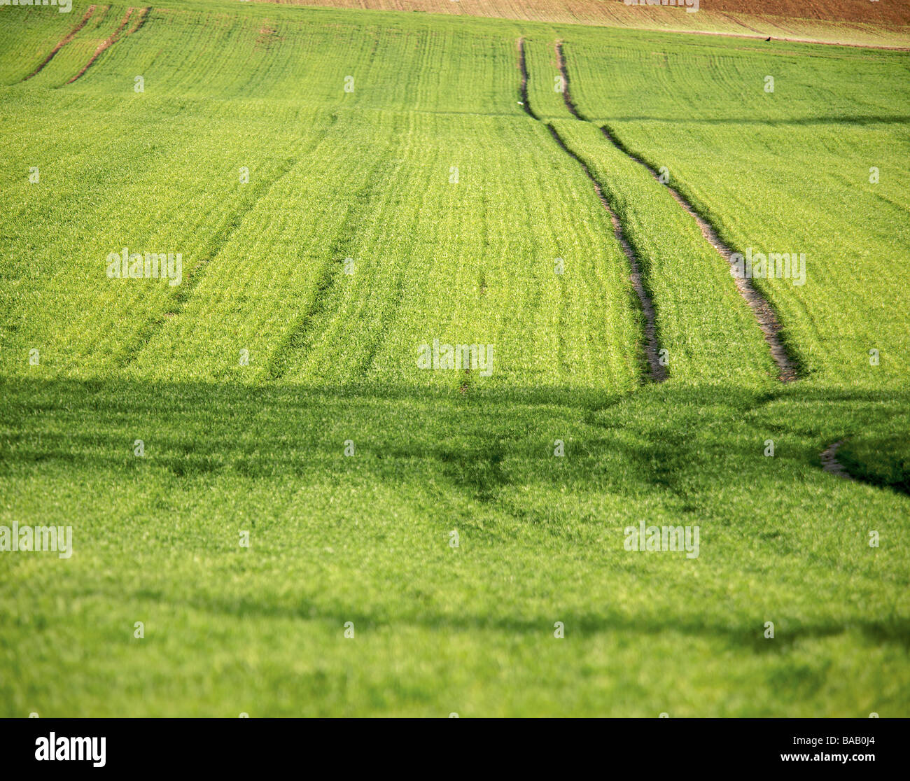 Sulham hi-res stock photography and images - Alamy