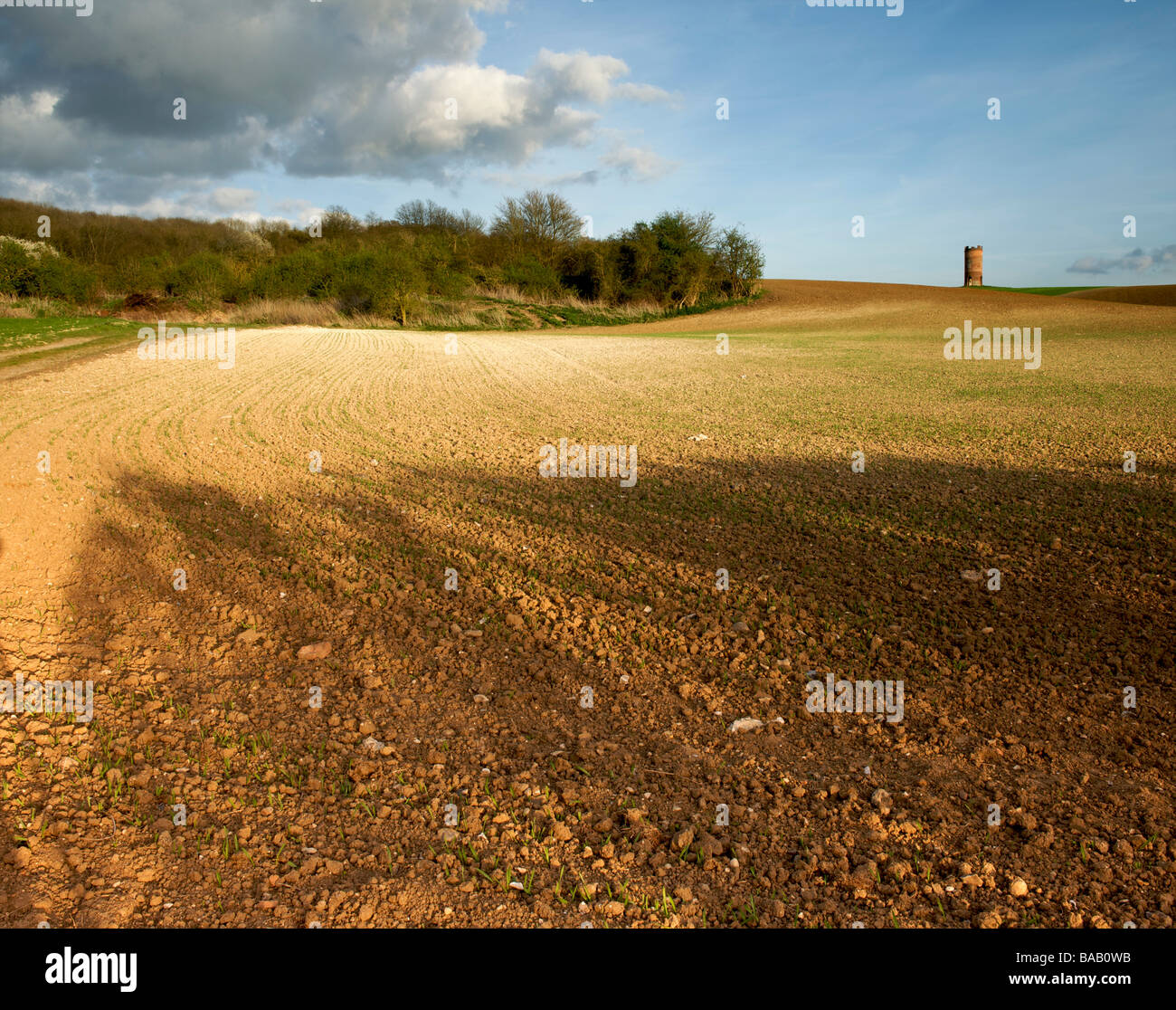 Sulham woods hi-res stock photography and images - Alamy
