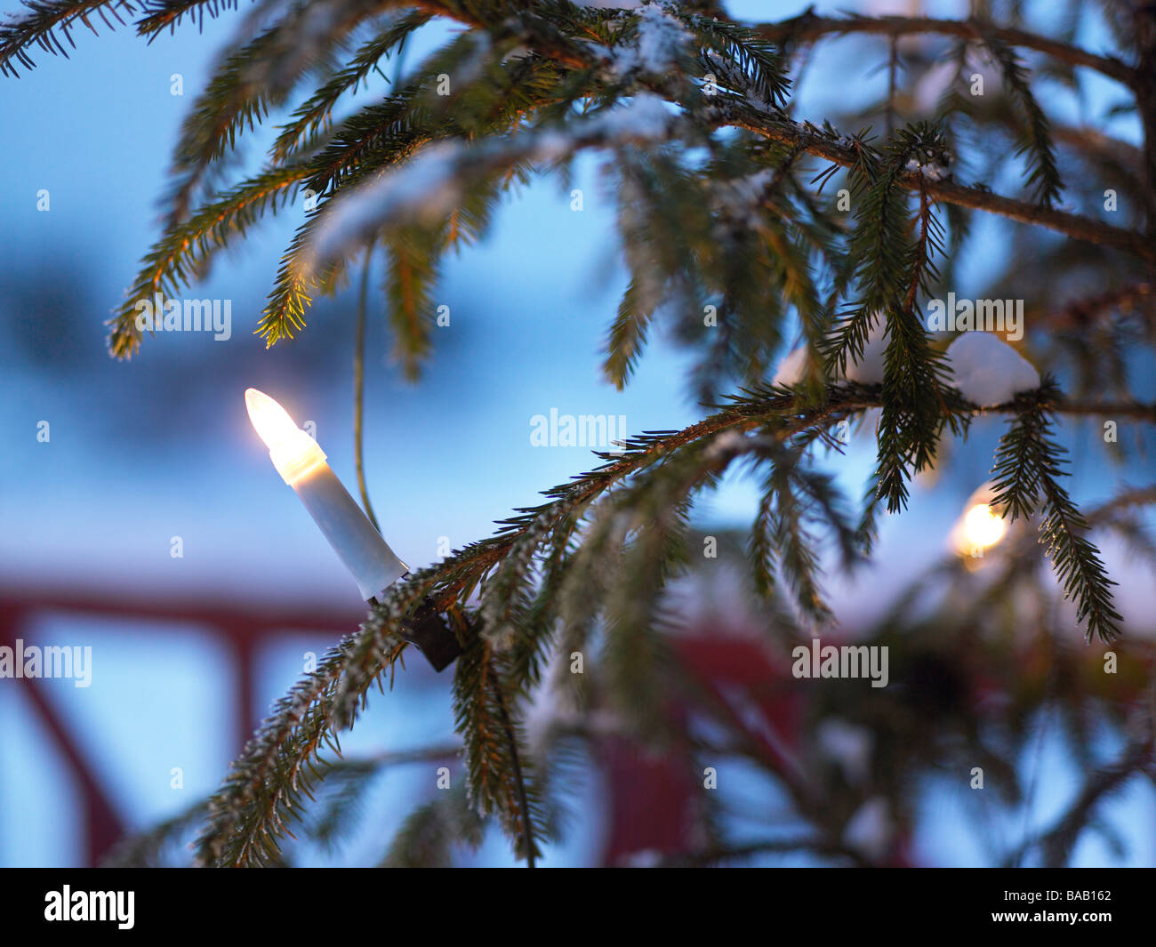 A christmas tree, Sweden Stock Photo - Alamy
