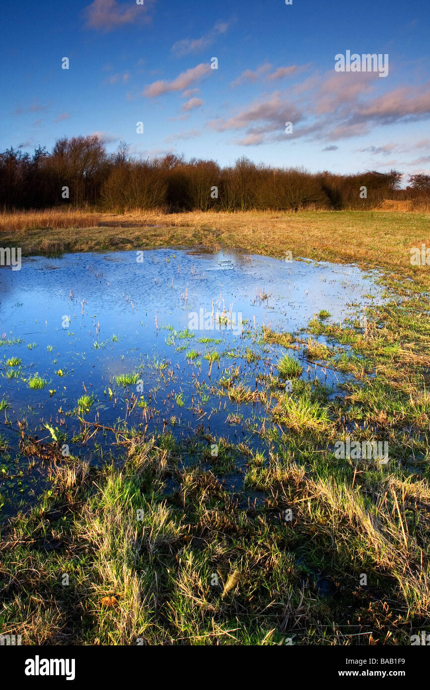 the far ings national nature reserve, owned by the lincolnshire ...