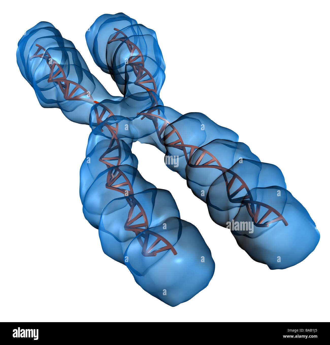 Chromosomen hi-res stock photography and images - Alamy