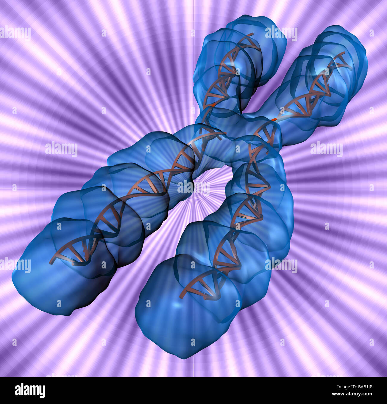 Chromosomen hi-res stock photography and images - Alamy
