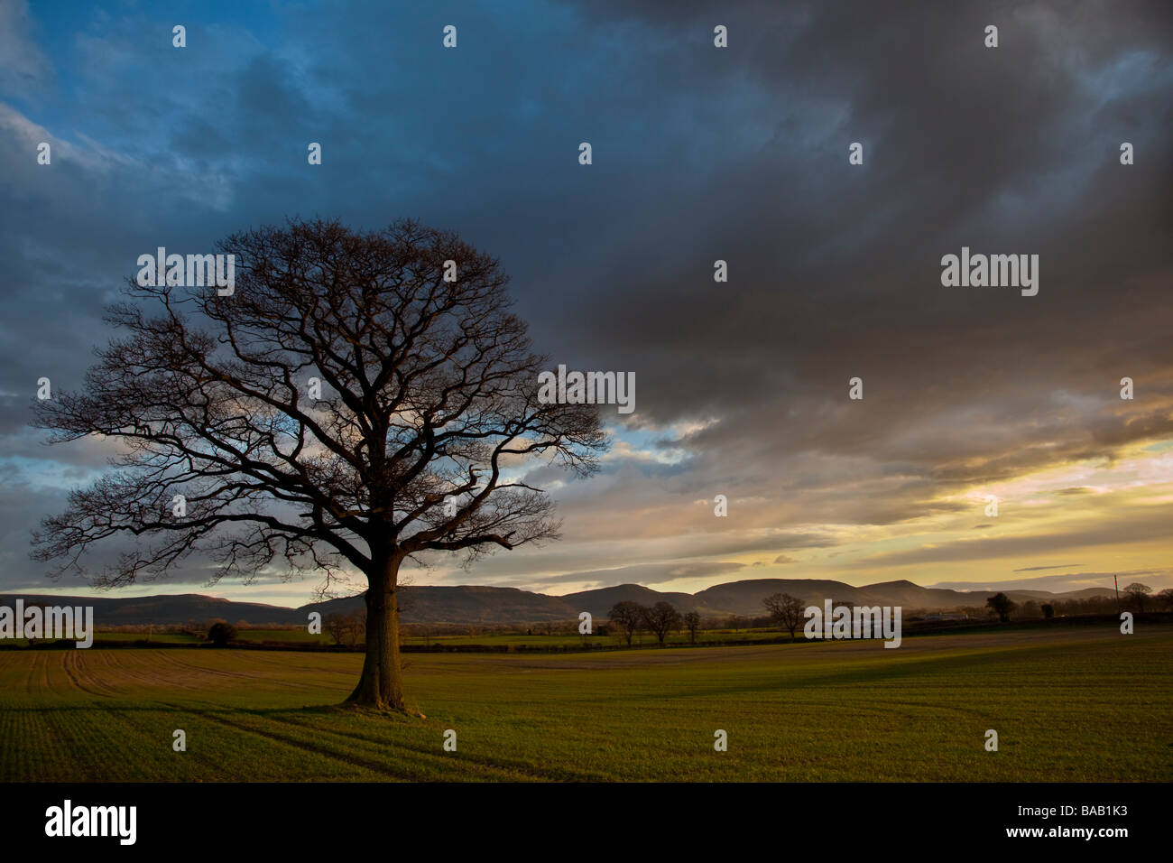 The Cleveland Hills from Easby North Yorkshire Stock Photo - Alamy