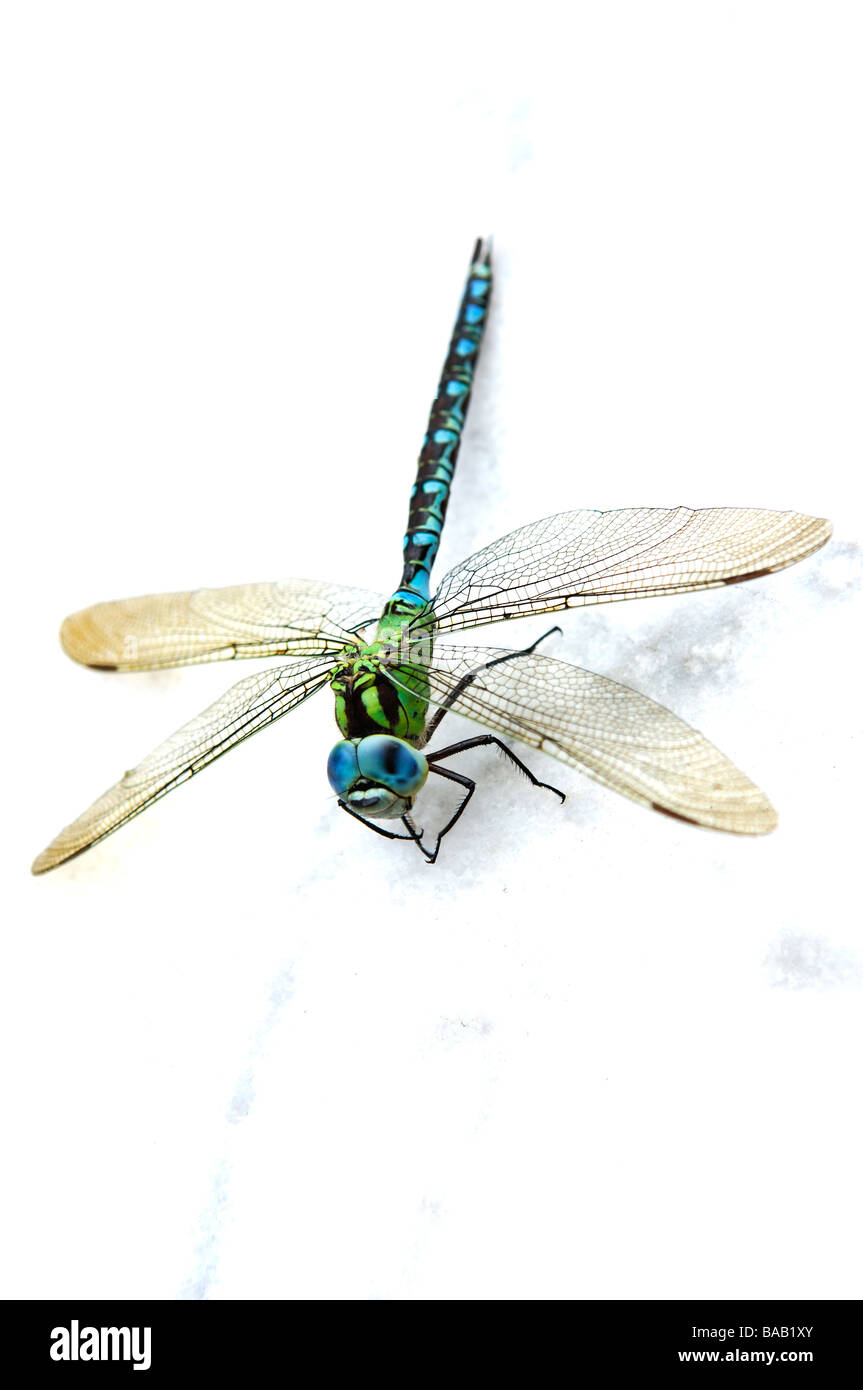 Sweden life Cut Out Stock Images & Pictures - Alamy