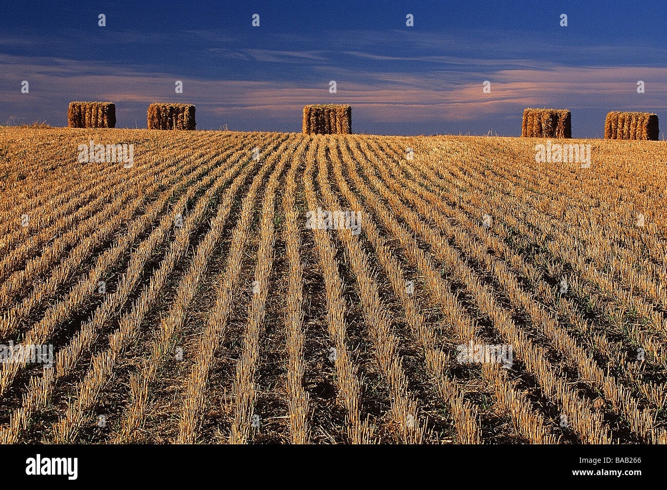 Hayfields hi-res stock photography and images - Alamy