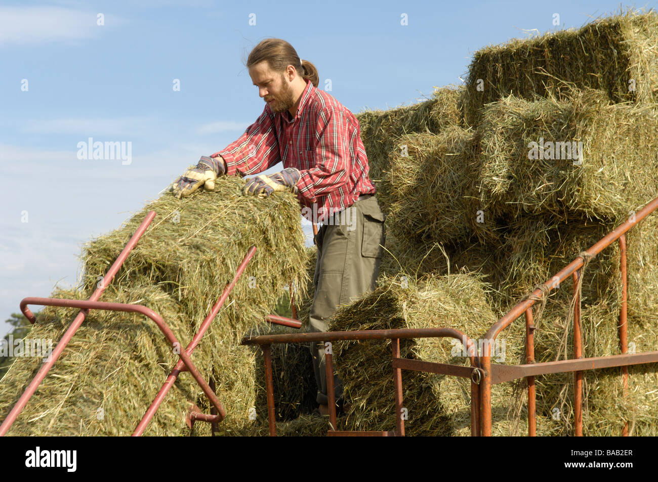 Sweden farming hi-res stock photography and images - Alamy