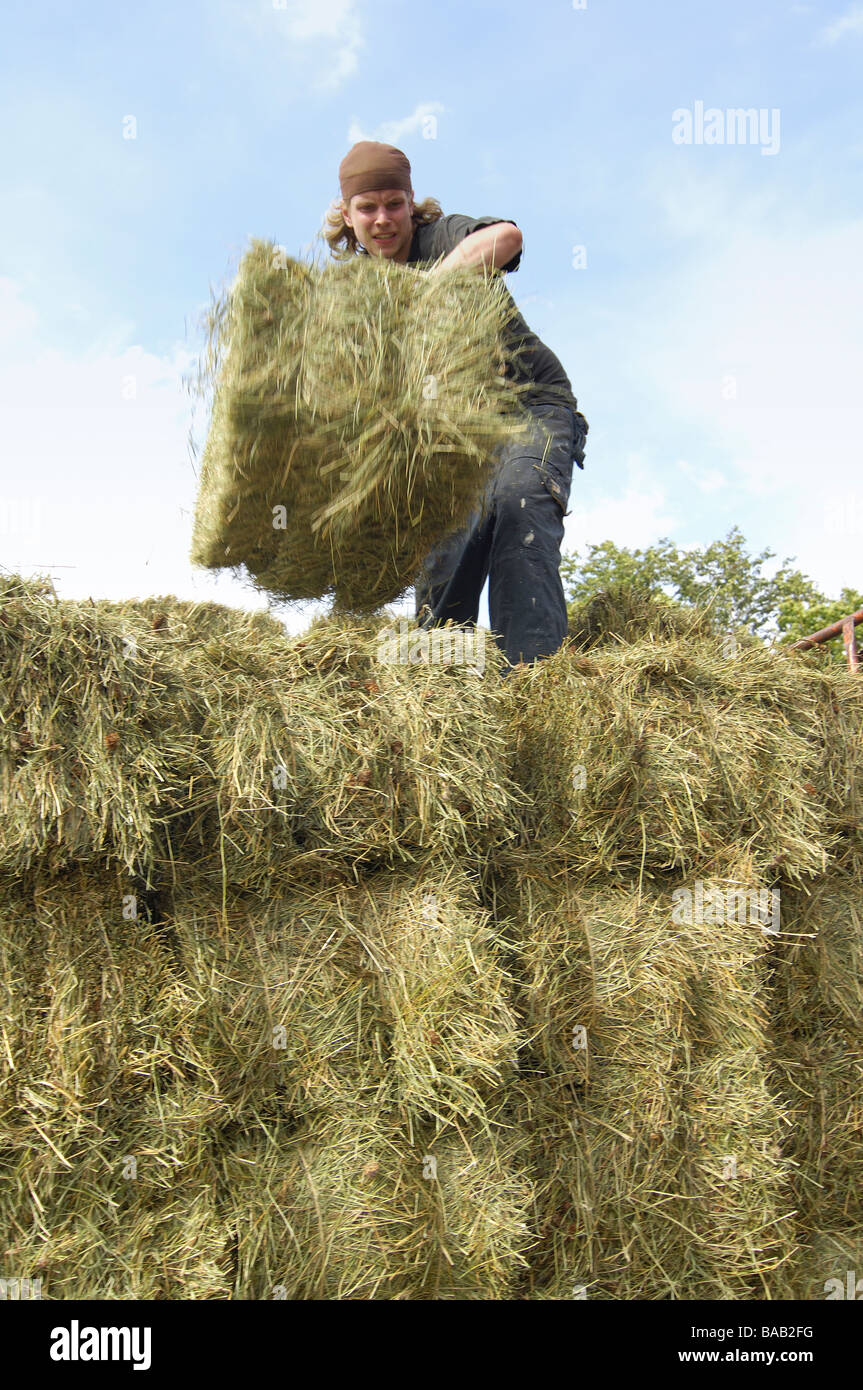 Straw lining hi-res stock photography and images - Alamy