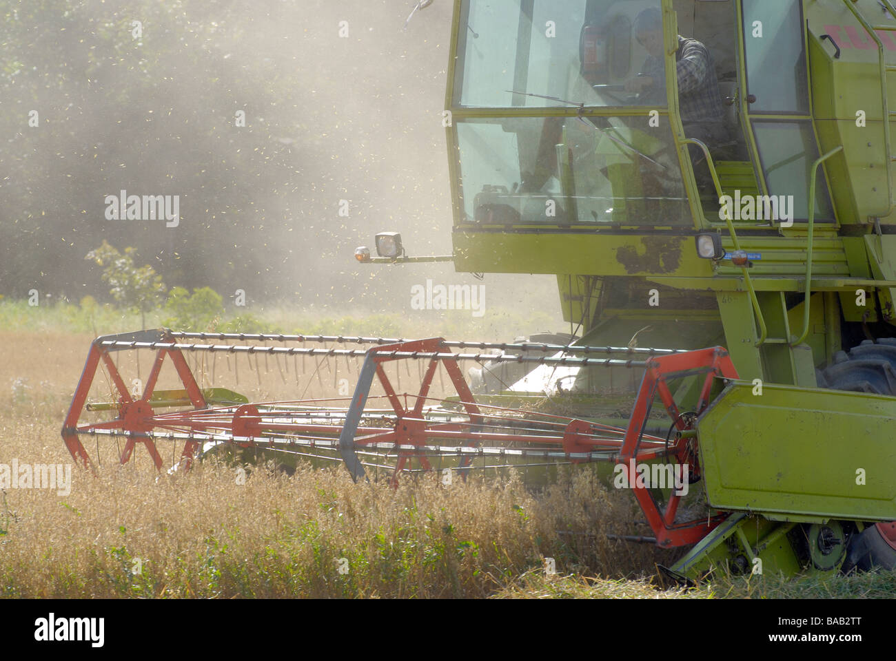 Mature man working on combine hi-res stock photography and images - Alamy