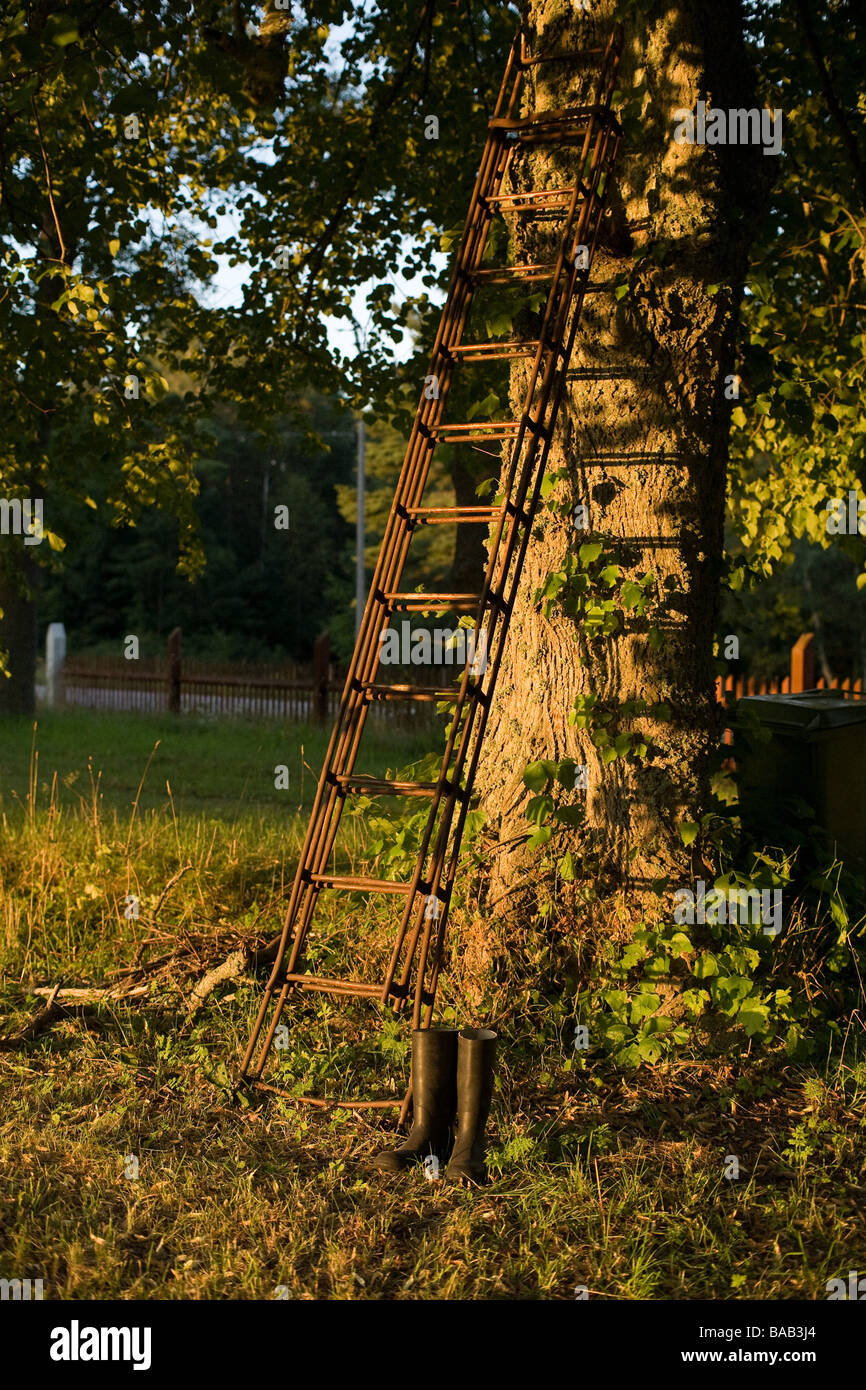 Scandinavian tree ladder hi-res stock photography and images - Alamy