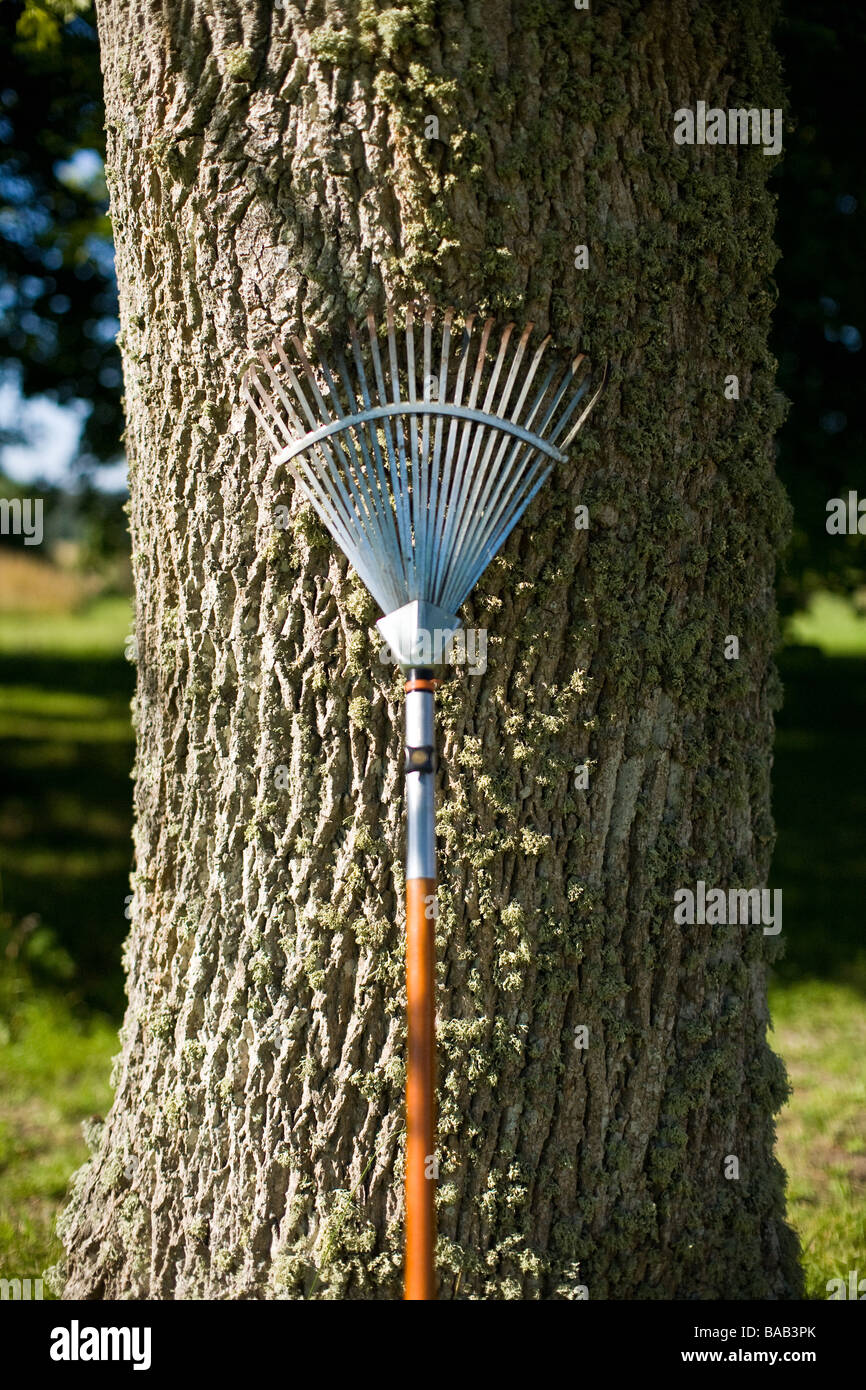 Rake against a tree hi-res stock photography and images - Alamy