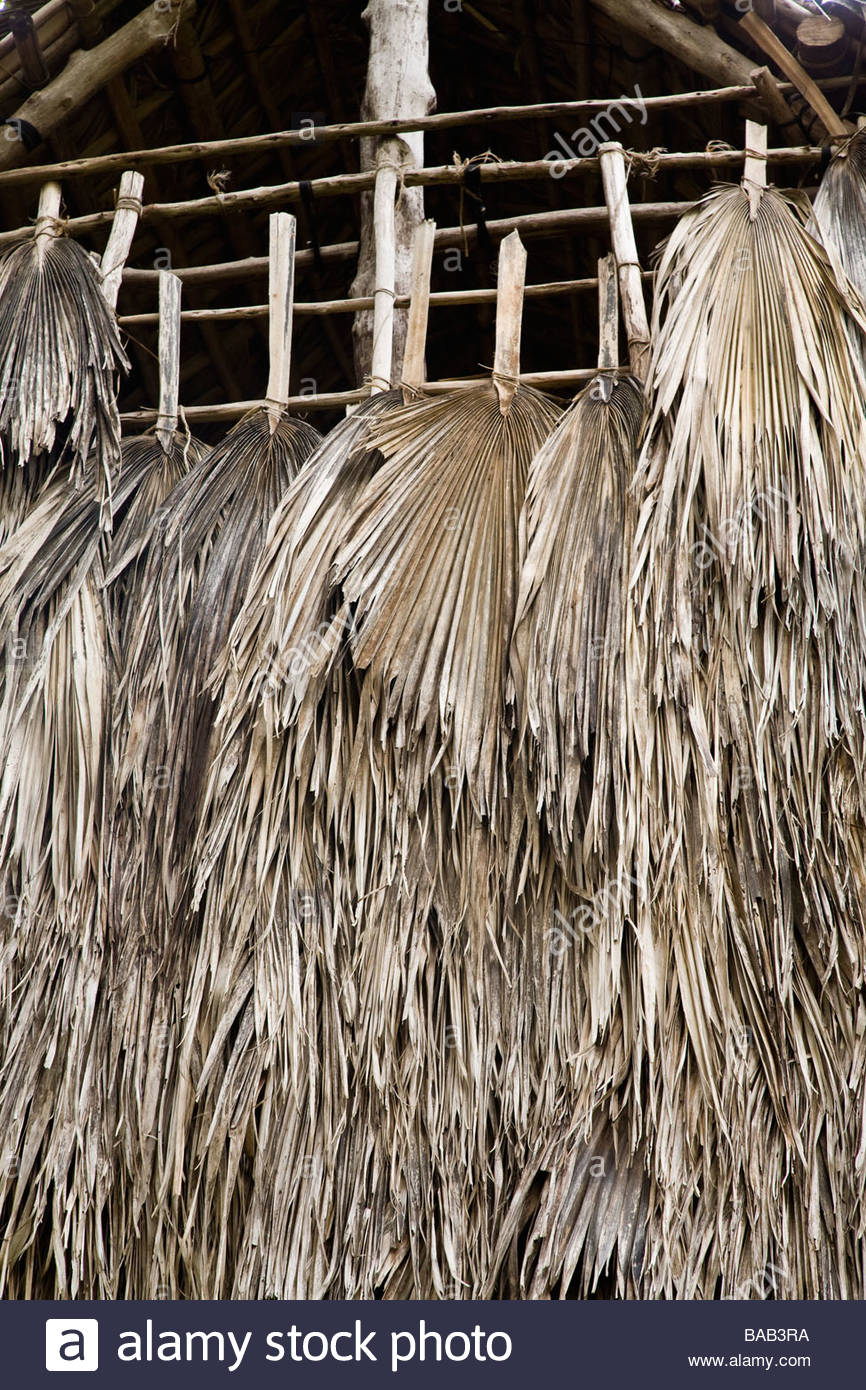 Thatch Palm Stock Photos & Thatch Palm Stock Images - Alamy