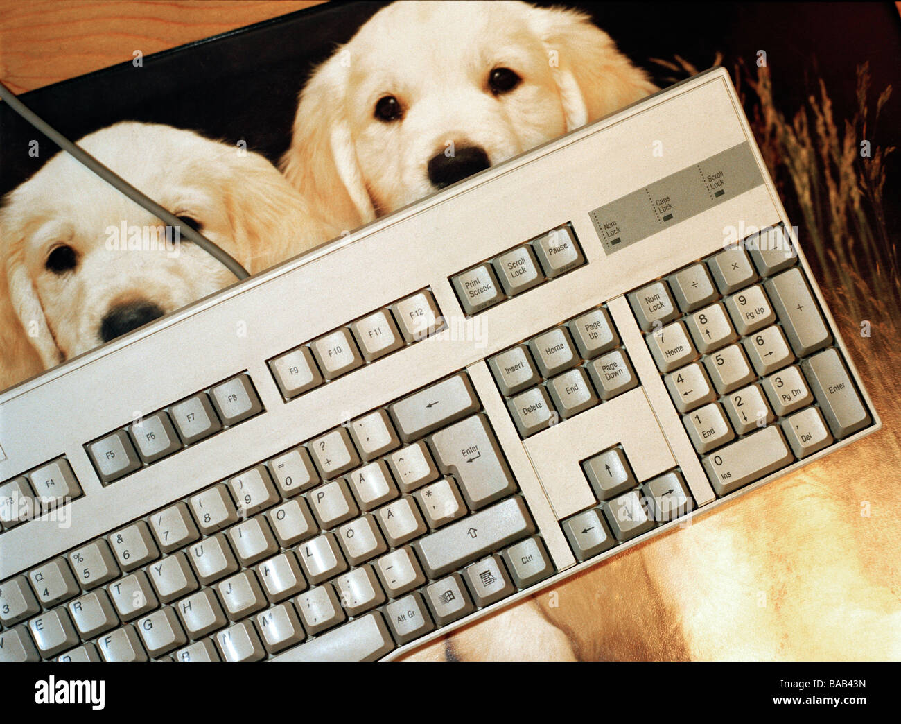 Digit computer hi-res stock photography and images - Alamy