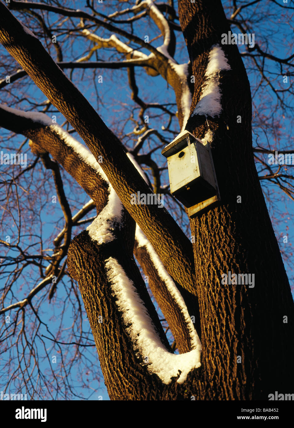 A Nesting Box In A Tree Sweden Stock Photo - Alamy