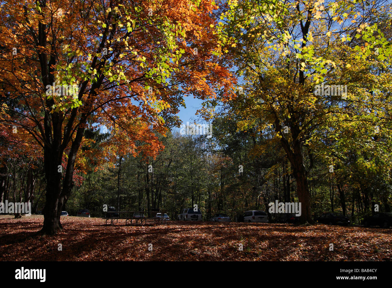 Autumn at city park Hocking Hills in Ohio USA US beautiful landscape ...