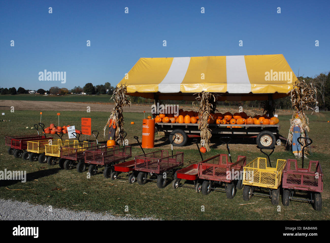 Farmers market selling orange pumpkins and squashes outdoor sales ...
