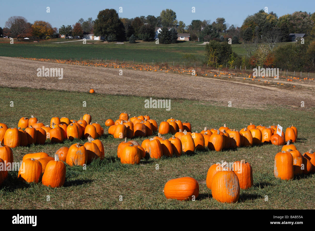 American rural Autumn landscape Hocking Hills Ohio in USA harvesting on ...