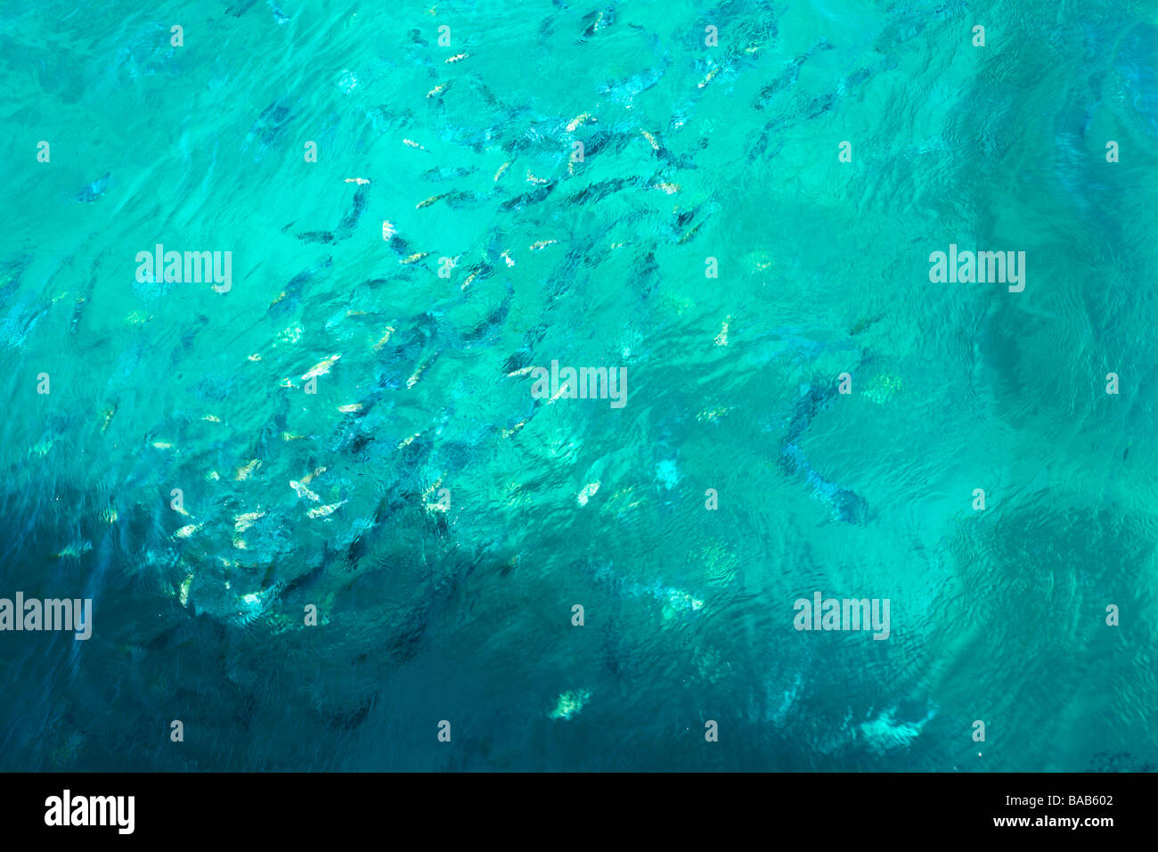 Salt fish barbados hi-res stock photography and images - Alamy