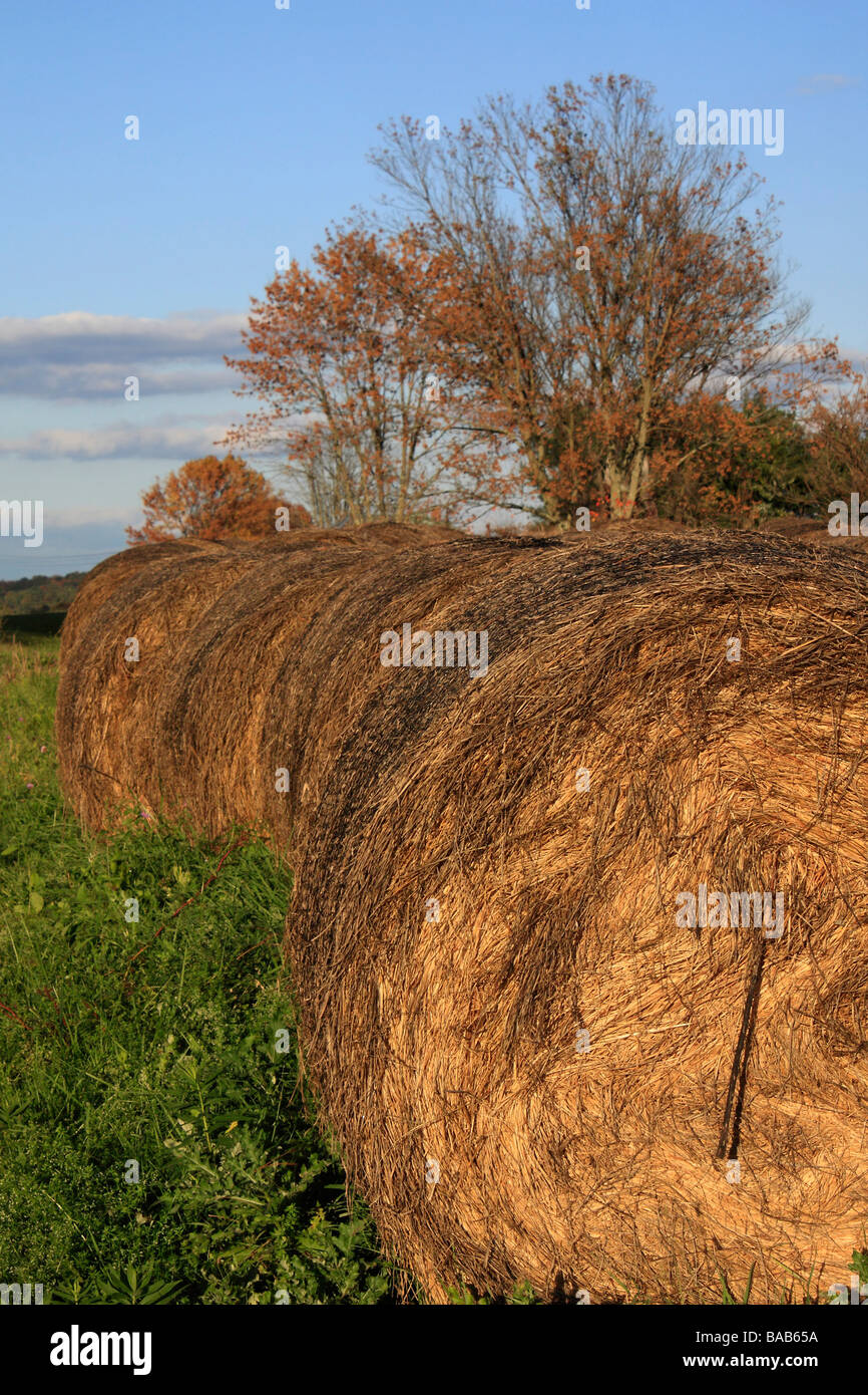 American rural Autumn landscape Hocking Hills in Ohio USA US with round ...
