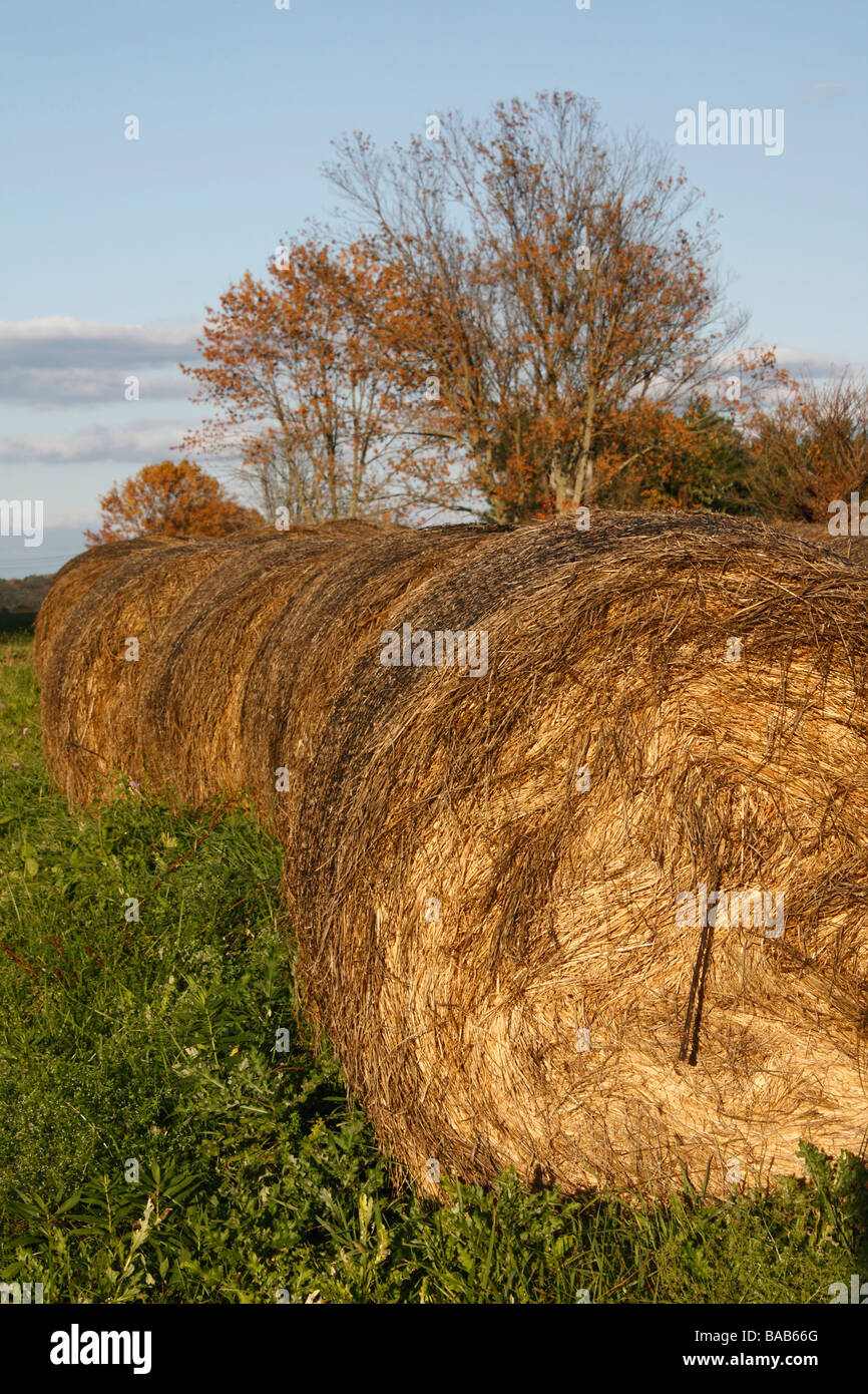 American rural farming Autumn landscape Hocking Hills in Ohio USA US ...
