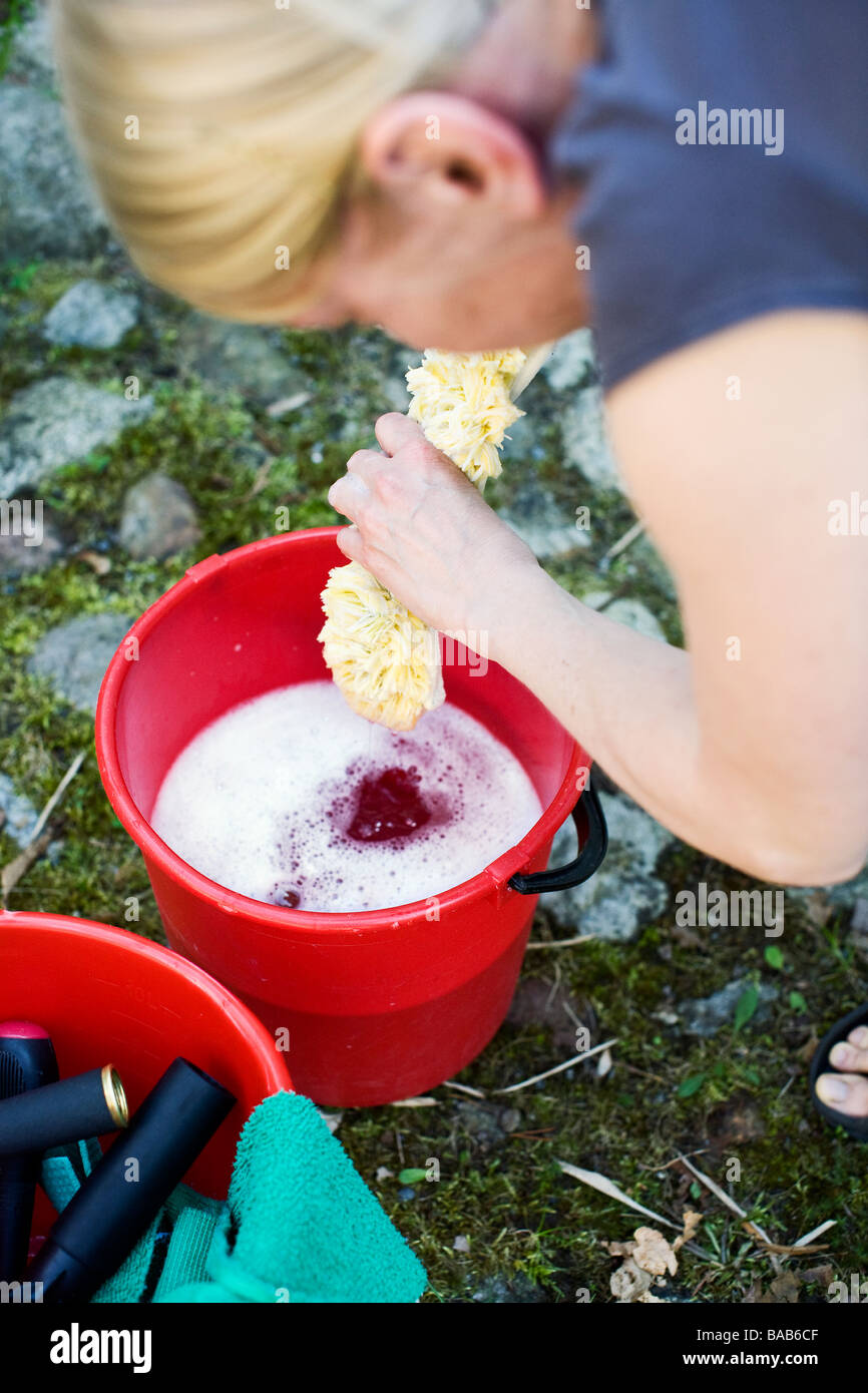 Mature woman cleaning sponge hi-res stock photography and images - Alamy