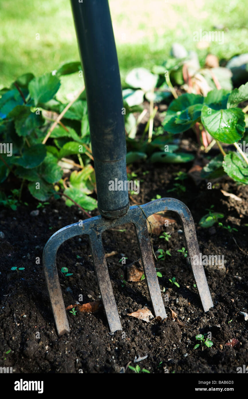 Pitchfork media hi-res stock photography and images - Alamy