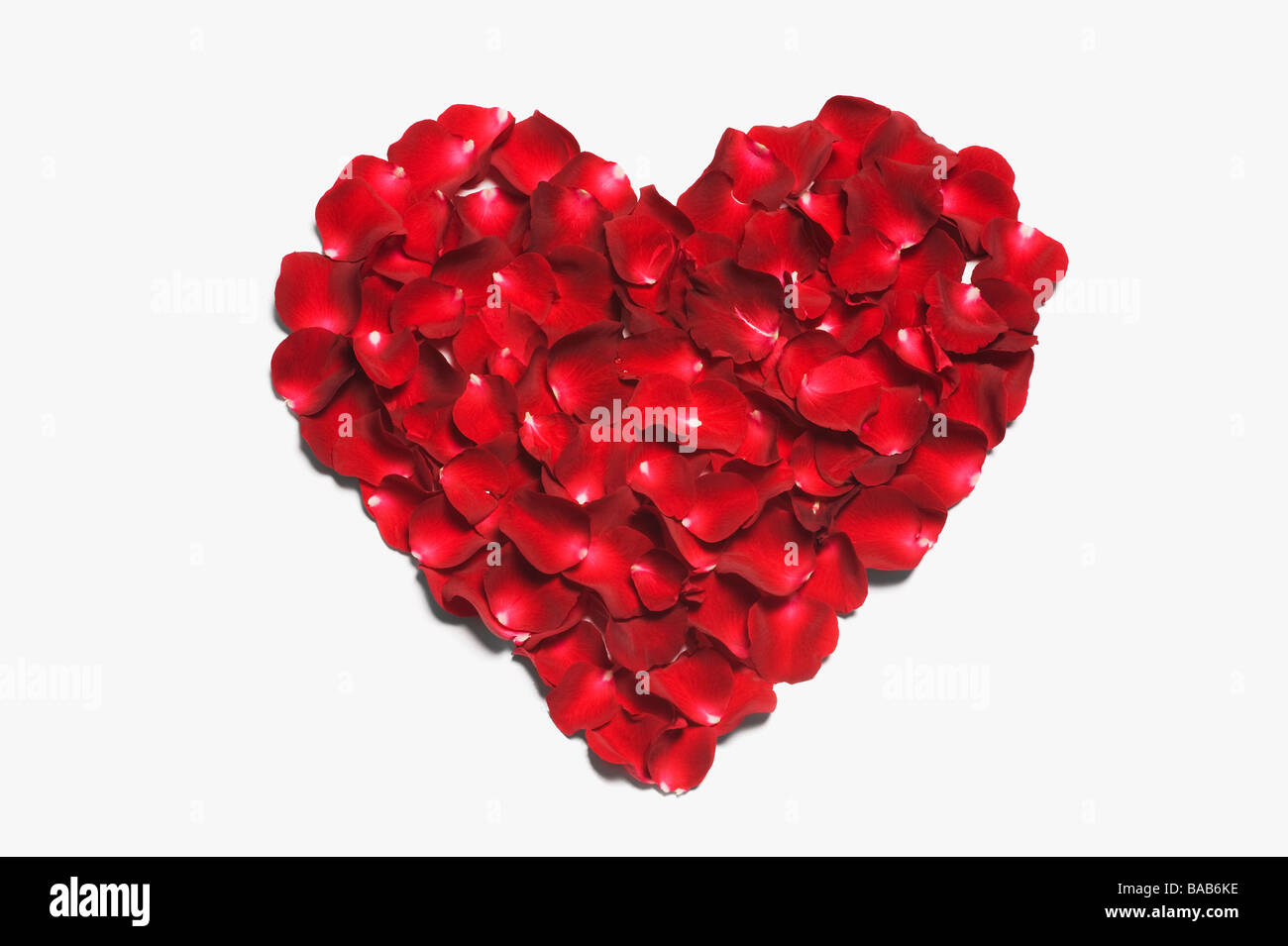 Heart made white flower Cut Out Stock Images & Pictures - Alamy