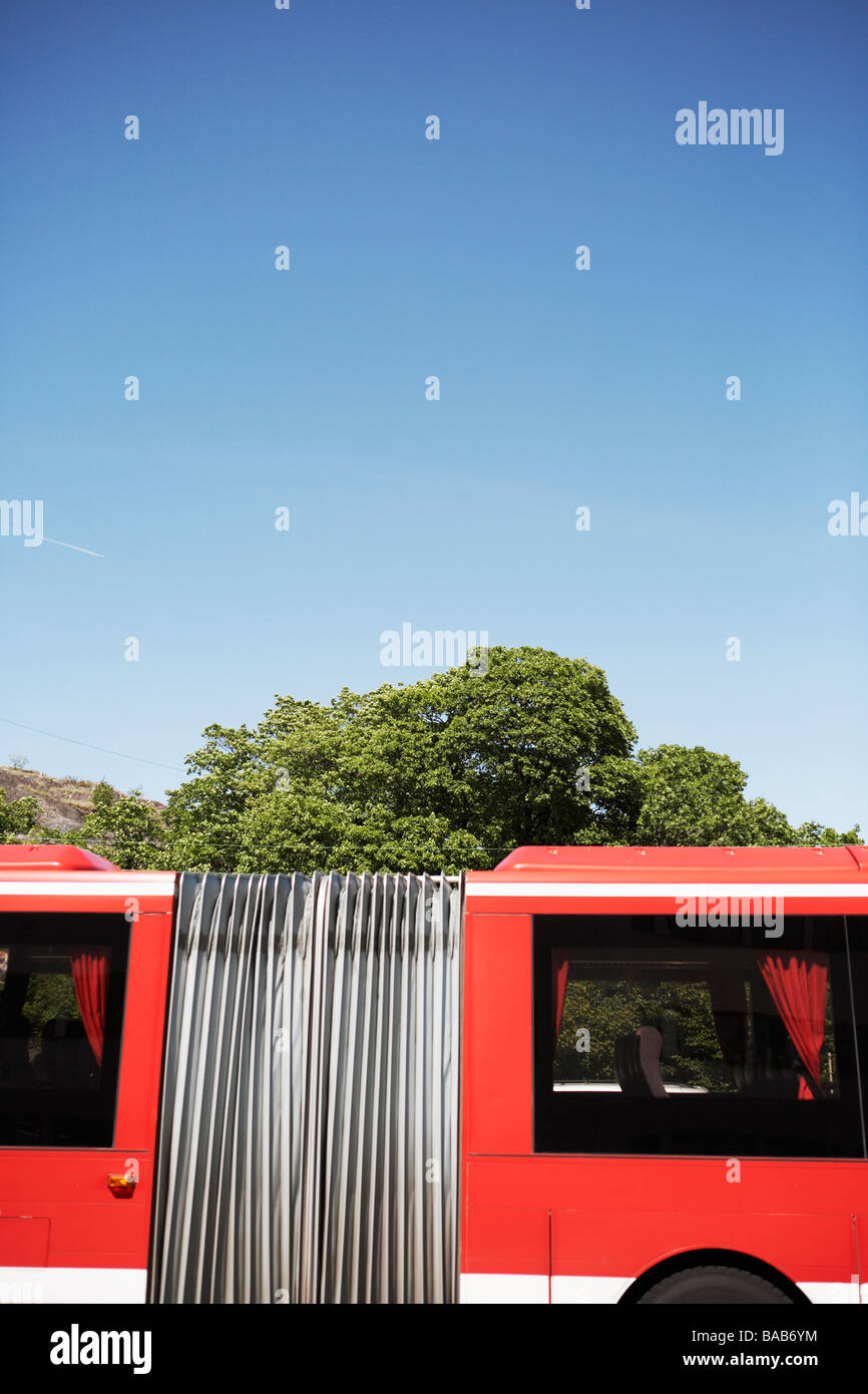 Life bus green red city tree outdoors public hi-res stock photography ...