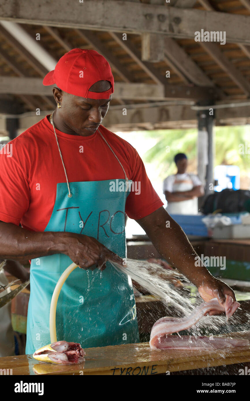 Butcher preparing to cut fresh Kingfish at Oistins Fish Market or now ...