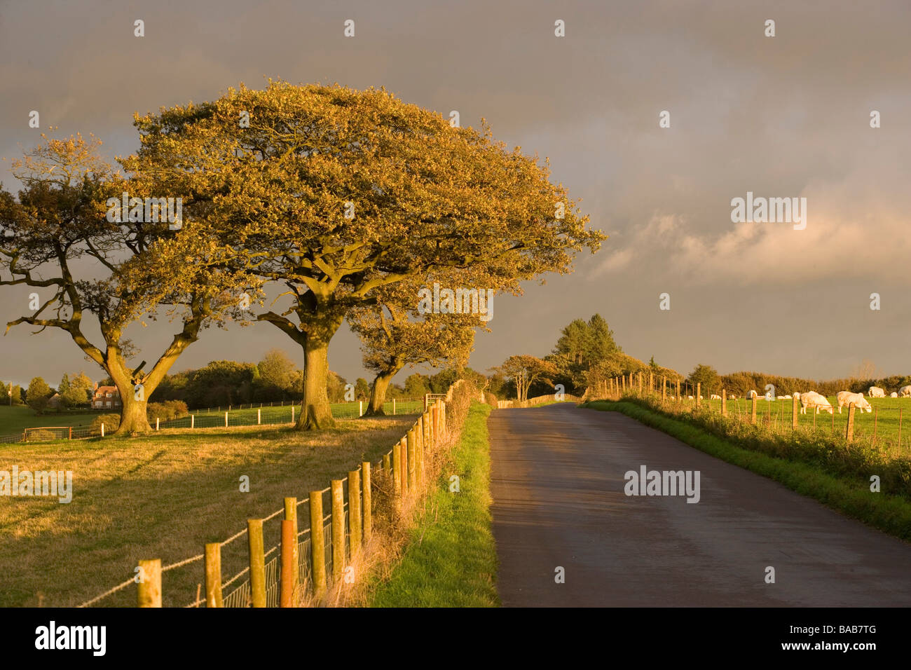 Towards hampshire road hi-res stock photography and images - Alamy