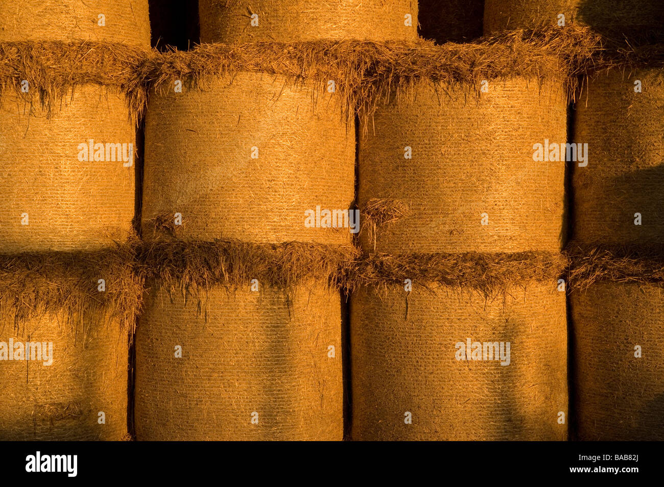 Round Bail High Resolution Stock Photography and Images - Alamy