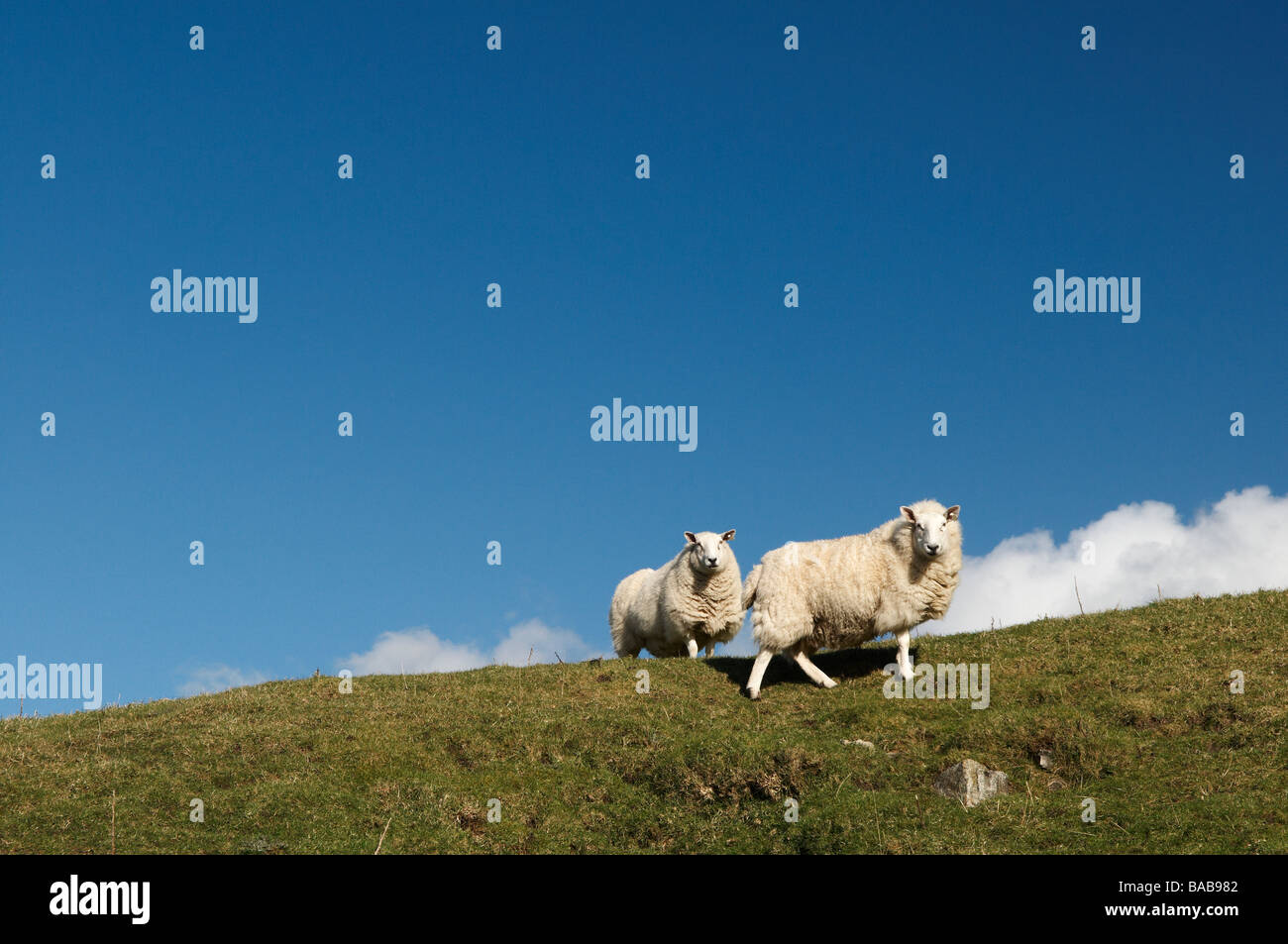 Malin donegal hi-res stock photography and images - Alamy
