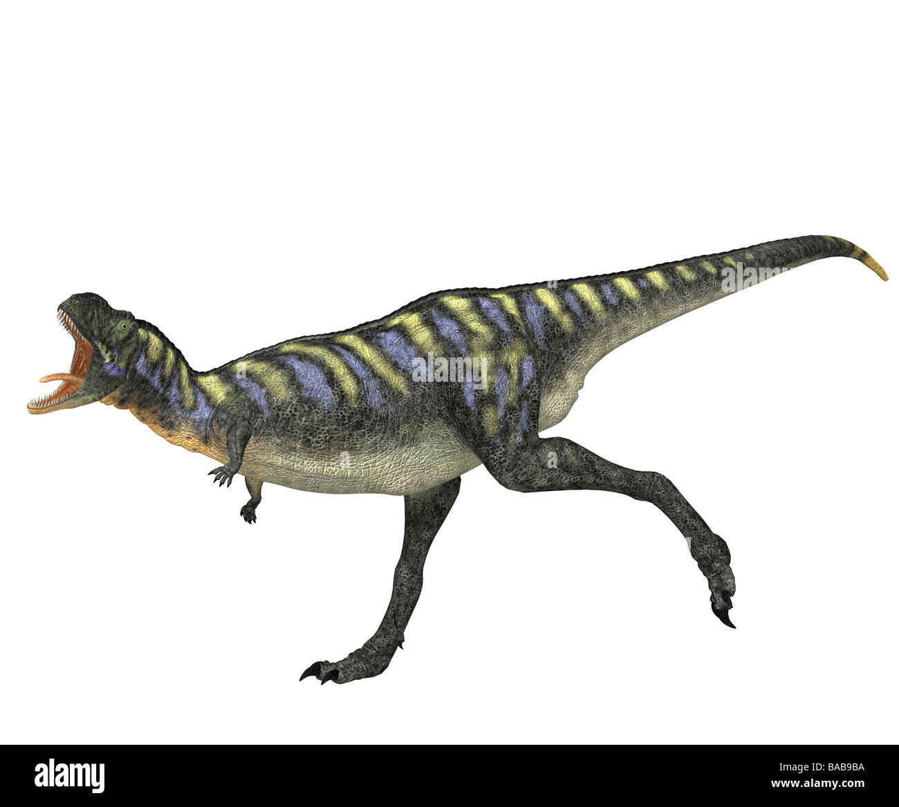 Auca hi-res stock photography and images - Alamy