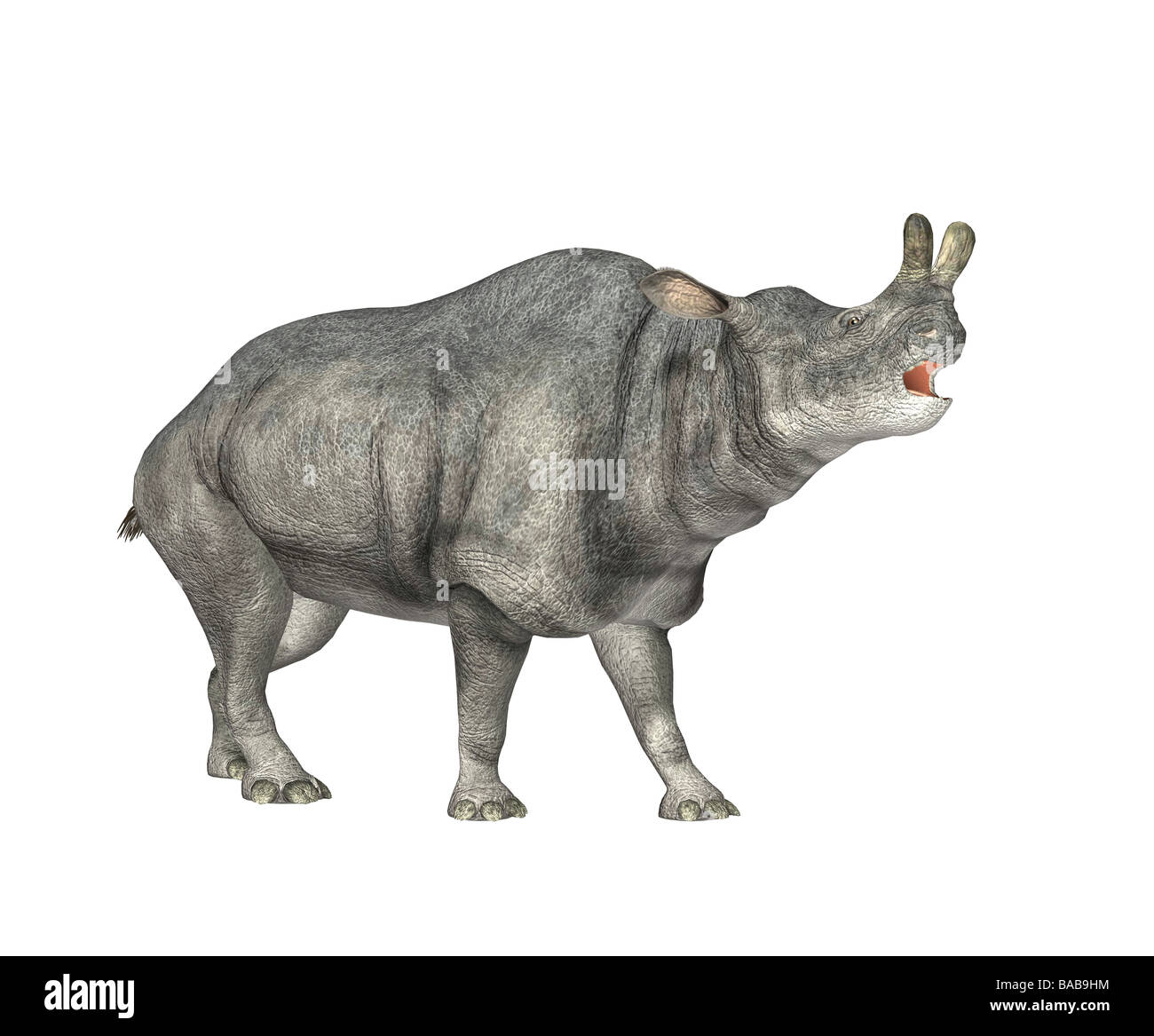 Dinosaurier Diceratus / dinosaur Diceratus Stock Photo - Alamy