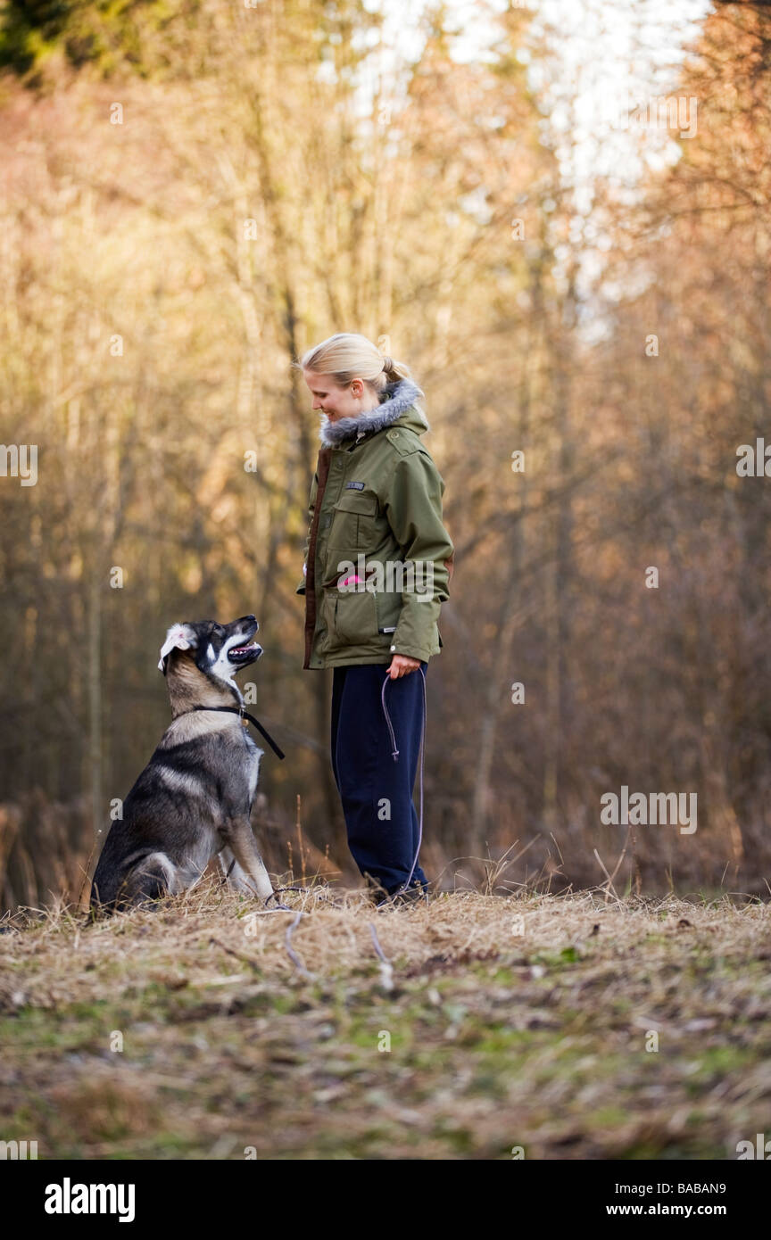 the dog waits for his reward Stock Photo - Alamy