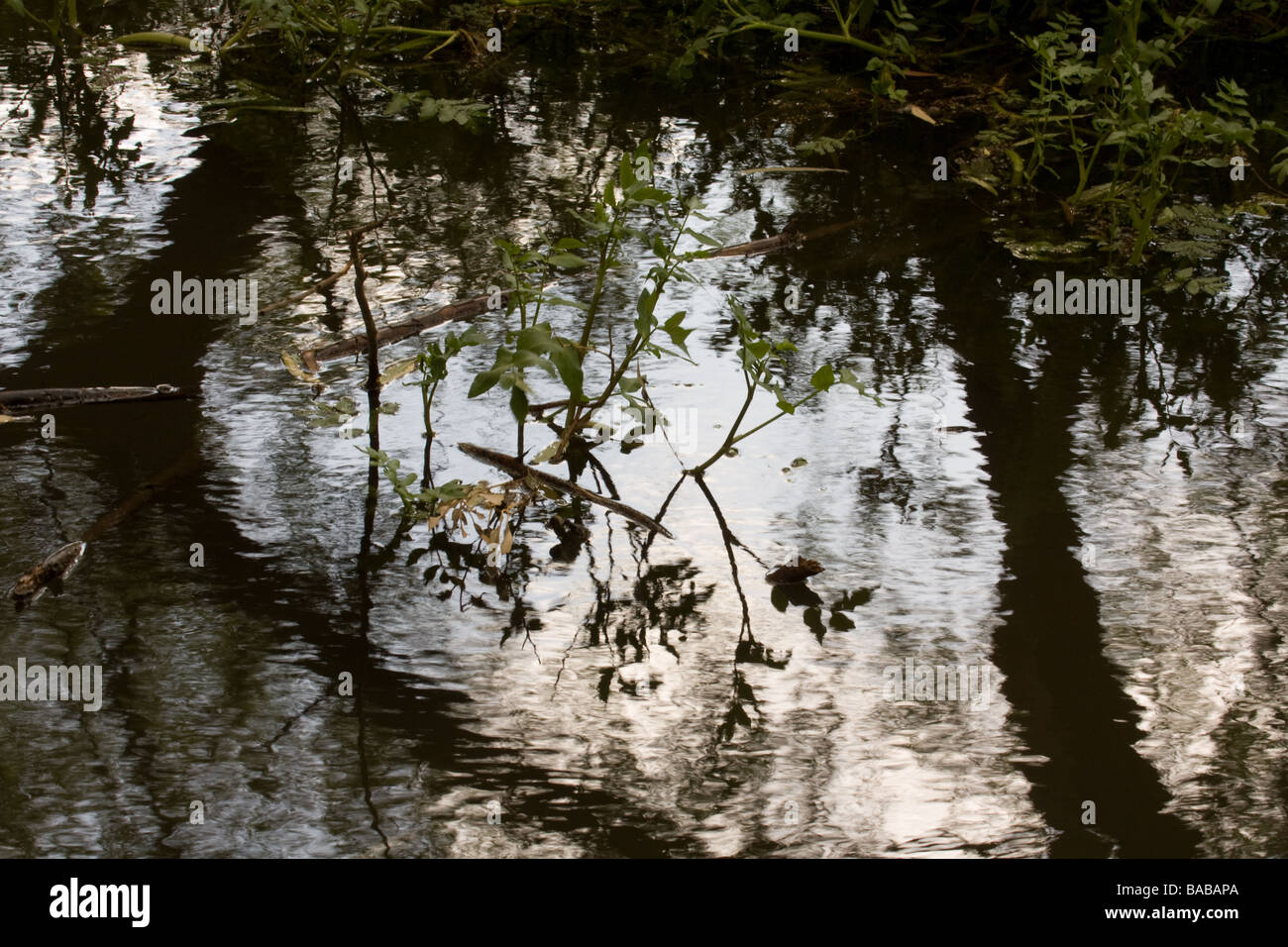 Rivulet hi-res stock photography and images - Alamy