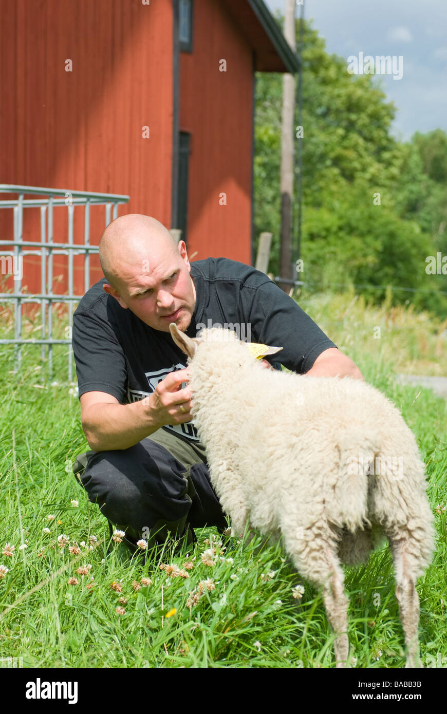 Man with sheep hi-res stock photography and images - Alamy